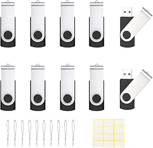 Amazon.com: 10 Pack 1GB USB Flash Drive USB 2.0 Thumb Drives Swivel Jump Drive Data Storage with ...
