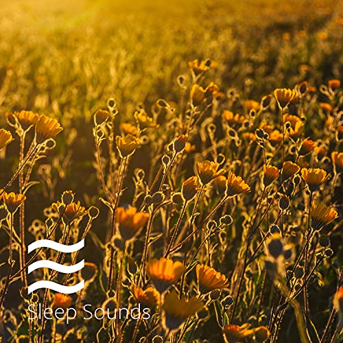 Amazon.com: Relaxing Sounds for Calm Babies to Sleep : Sleep Sounds Aid ...