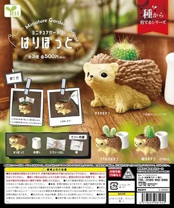 Amazon.co.jp: Miniature Garden Hari Pot Set of 3 Types : Toys & Games