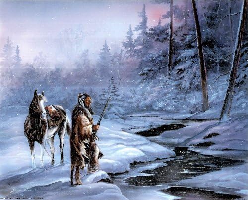 Amazon.com: Indian Shadow Forest Art Print Poster Native American ...