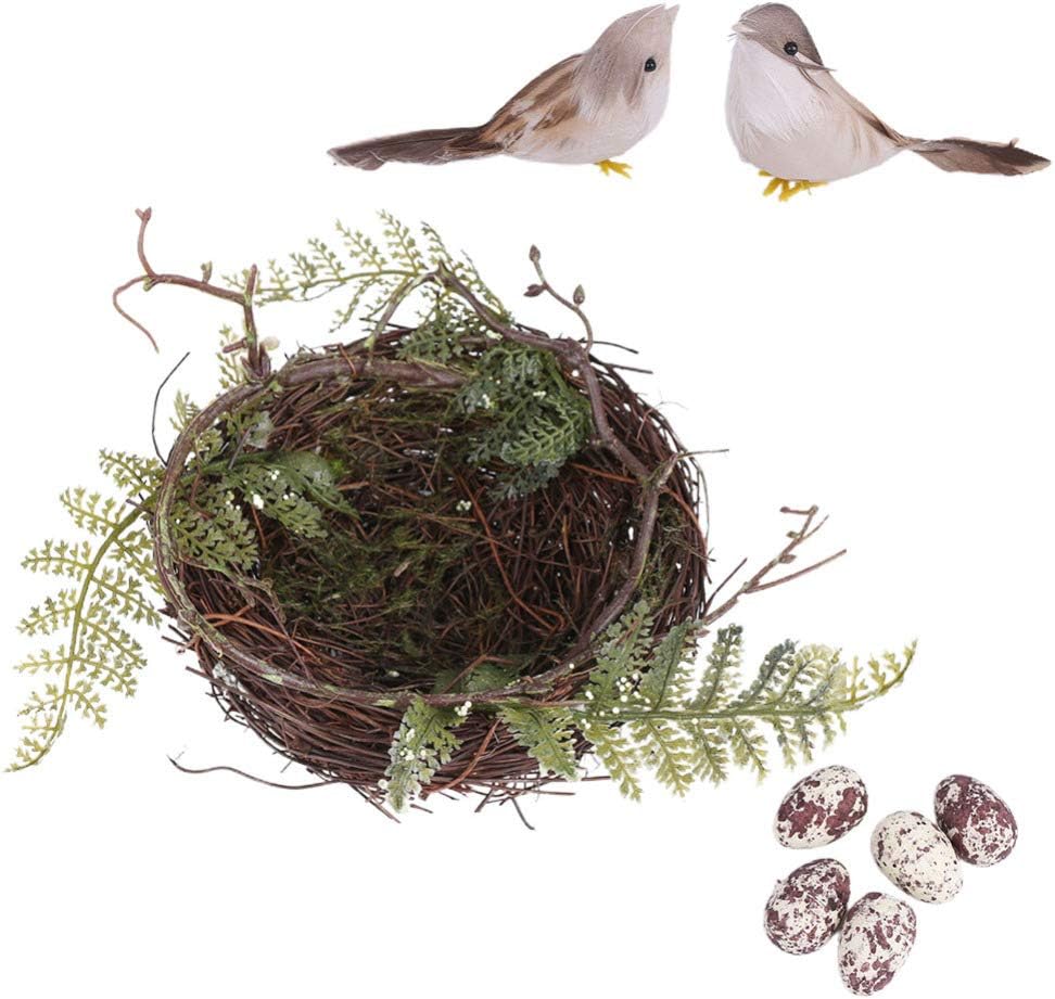 Amazon.com: Jesse Handmade Vine Brown Bird Nest House Home Wedding ...