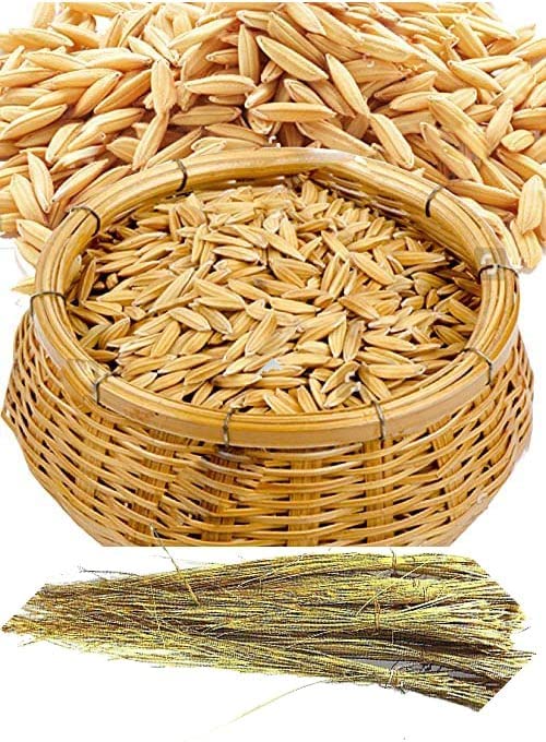 Dhan Paddy Seeds For Pooja & Germination Dhaan Puja with Puja Khush ...