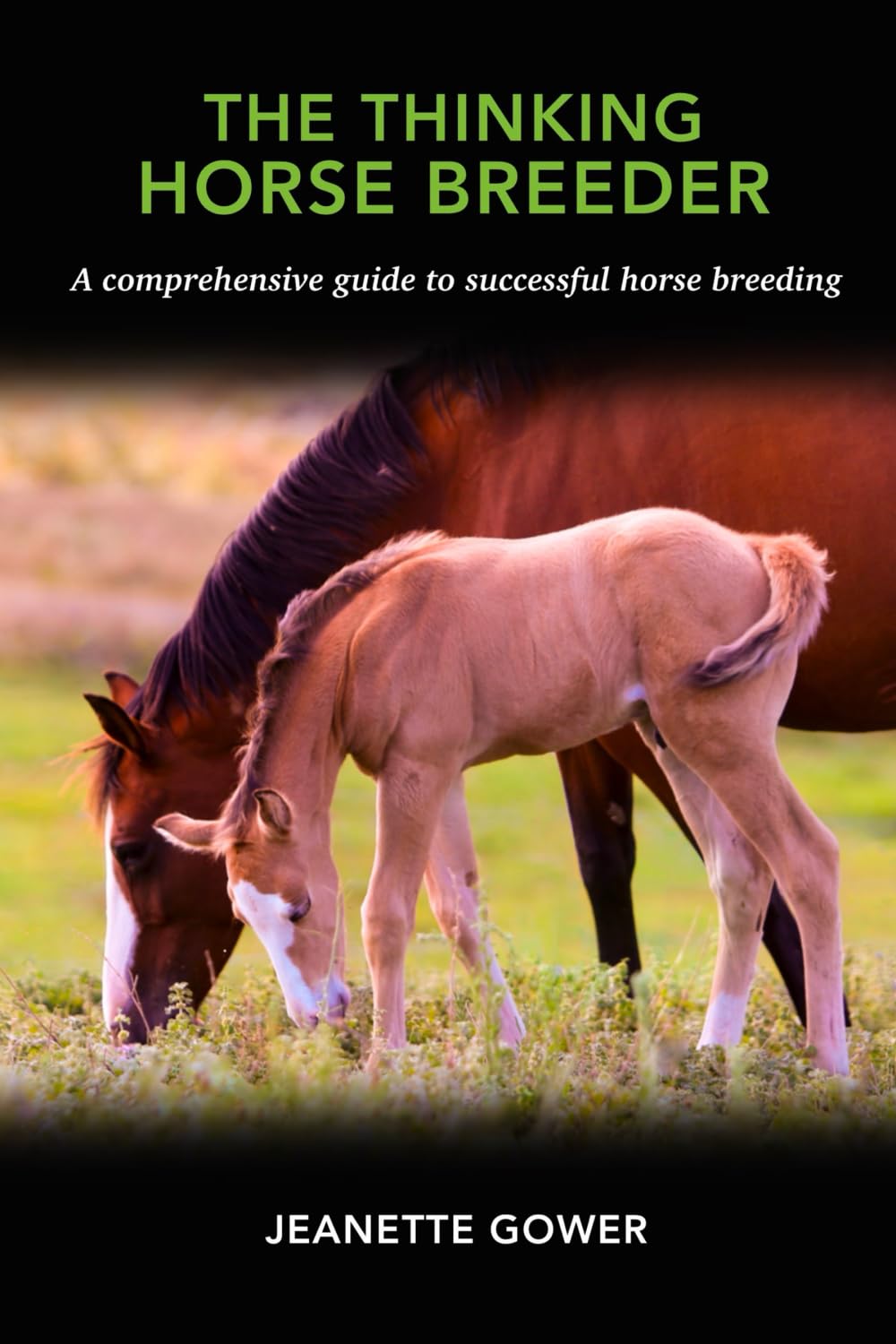 The Thinking Horse Breeder: A comprehensive guide to successful horse ...