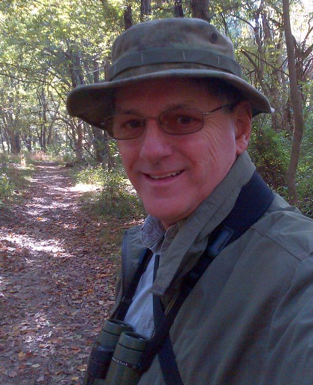 Amazon.com: Roger S. Hayes: books, biography, latest update