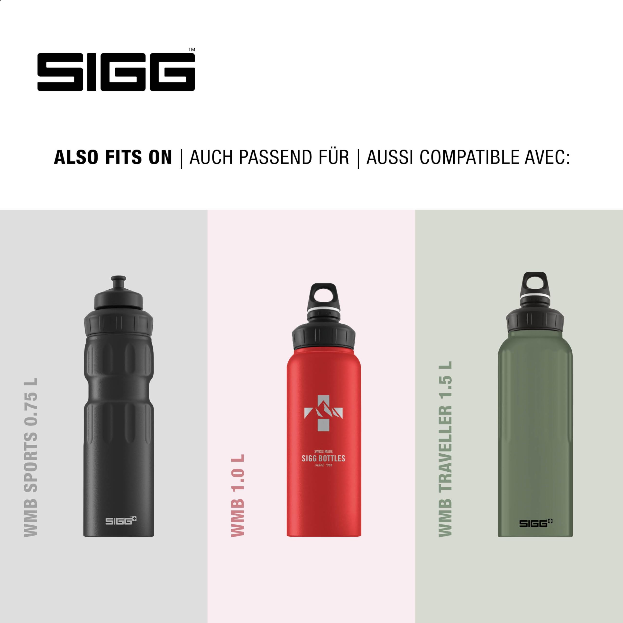 Sigg WMB ONE Top 2 Grey Berry – BigaMart