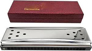 Amazon.com: 10 16 24Hole Double Sided Harmonica Tremolo Diatonic Blues ...
