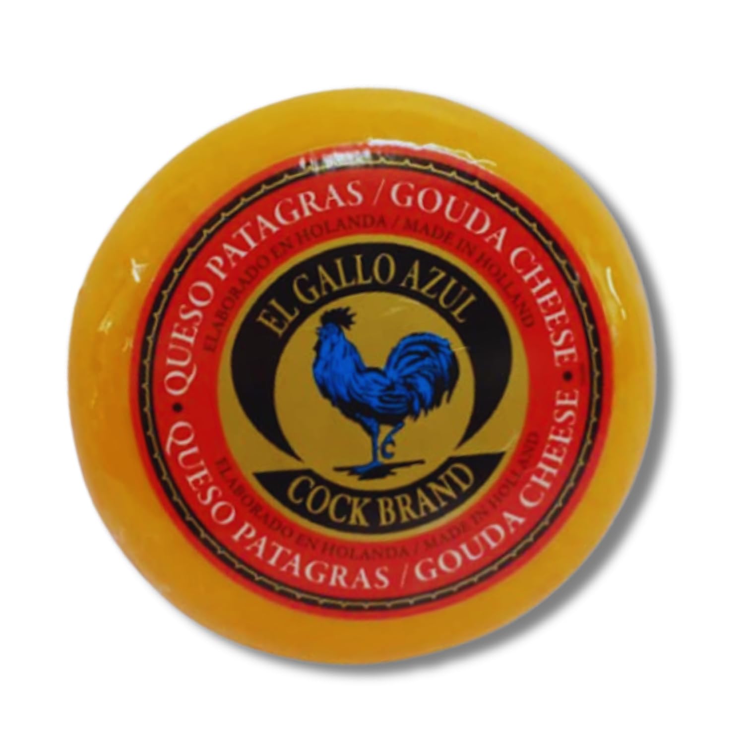 QUESO EL GALLO AZUL PATAGRAS GOUDA 3.7KILOS HOLANDA : Amazon.com.mx ...