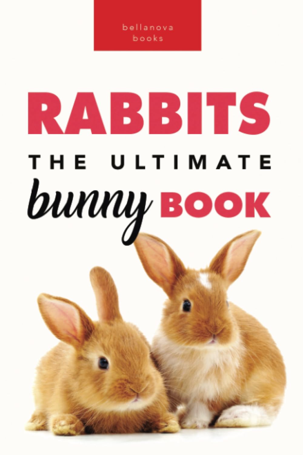 Amazon.com: Rabbits The Ultimate Bunny Book: 100+ Rabbit Facts, Photos ...