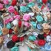 Amazon.com: 200PCS/Lot Mini Ribbon Bows Roses Flower Satin Rosettes ...