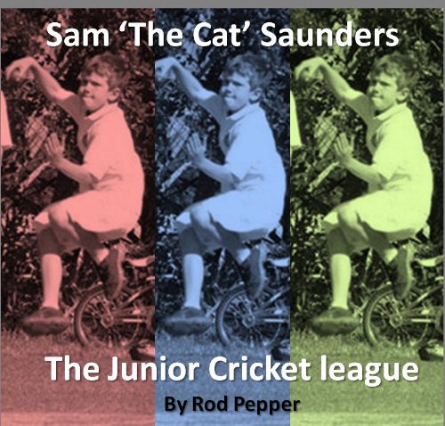 Sam 'The Cat' Saunders: The Junior Cricket League - Kindle edition by ...