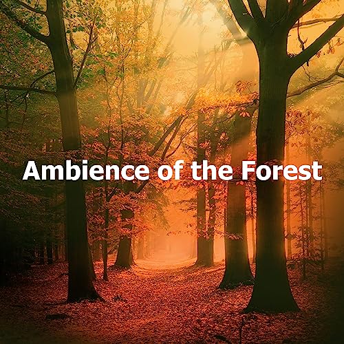 Amazon.com: Ambience of the Forest : Mother Nature Recordings: Digital Music