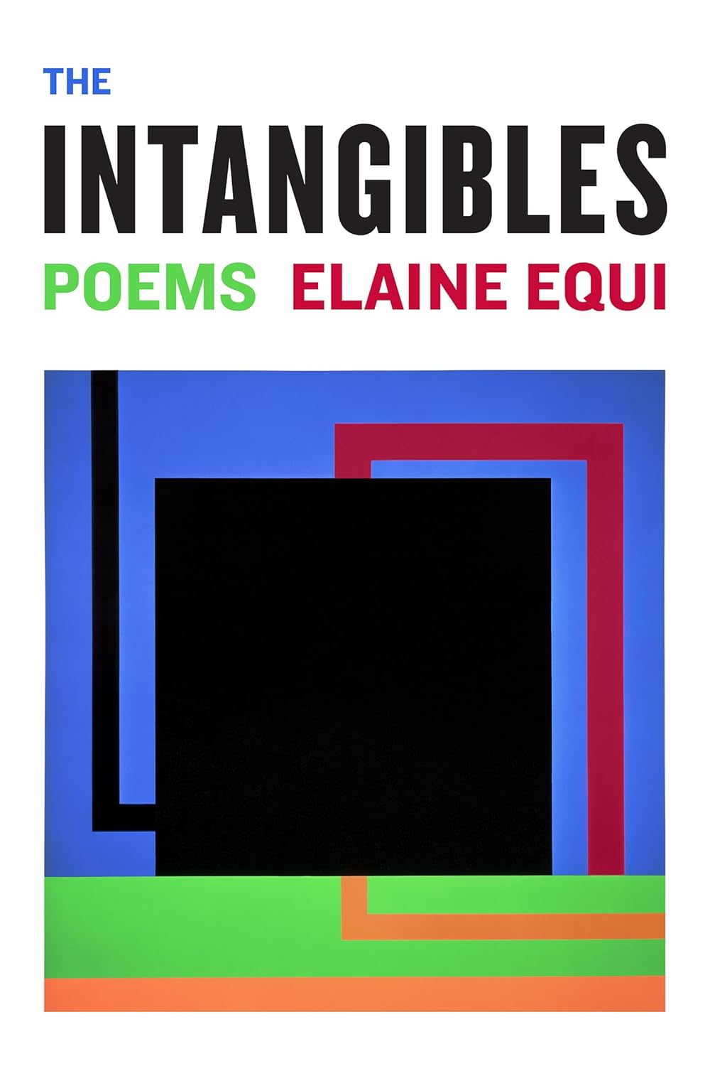 Amazon.com: The Intangibles: 9781566895644: Equi, Elaine: Books