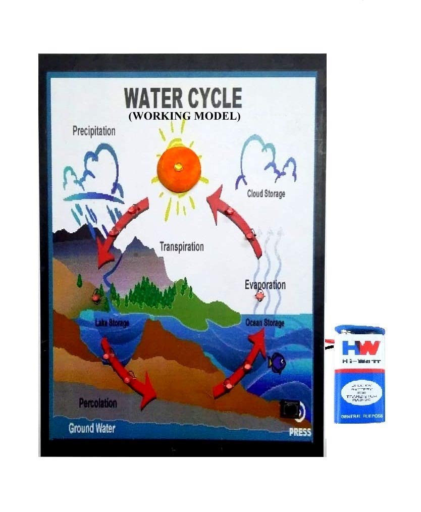 Water Cycle Model For Science Exhibition