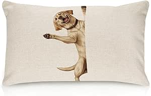 Amazon.com: COCOKEN Labrador Retriever Pillow Covers Dog Peeking Around ...
