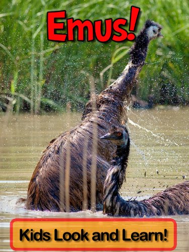Emus! Learn About Emus and Enjoy Colorful Pictures - Look and Learn ...
