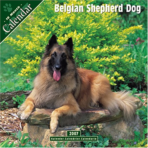 Belgian Shepherd 2007 Wall Calendar: 9781846620140: Amazon.com: Books