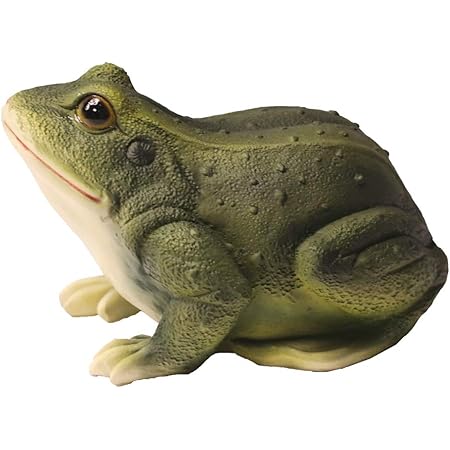 Amazon.com: Bits and Pieces - Frog Motion Sensor and Detector Statue ...