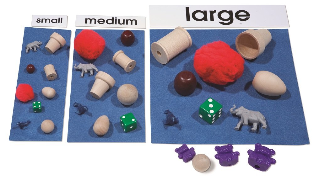 Amazon.com: Primary Concepts Size Sorting Learning Kit (43 pcs ...