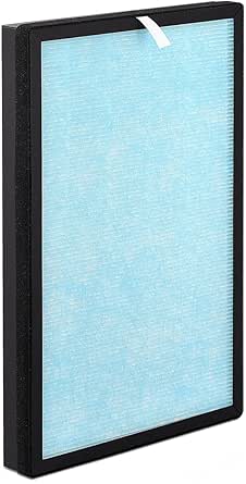 Amazon.com: AMOYFILTER 1 Pcs HP8 Replacement Filter Compatible with ...