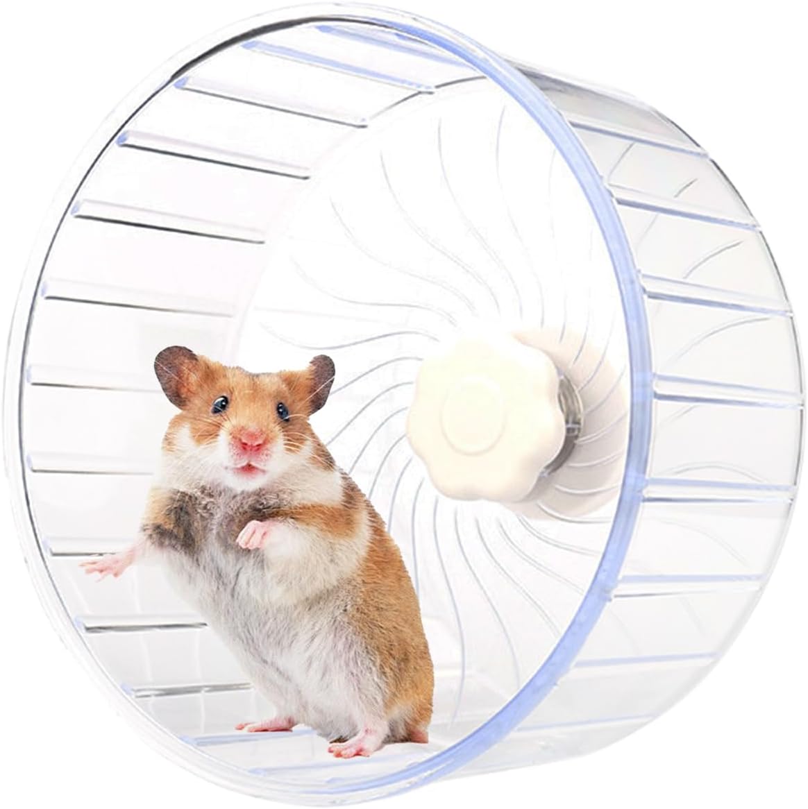 Hamster Exercise Wheels - Small Double-Bearing Silent Cage Spinner ...