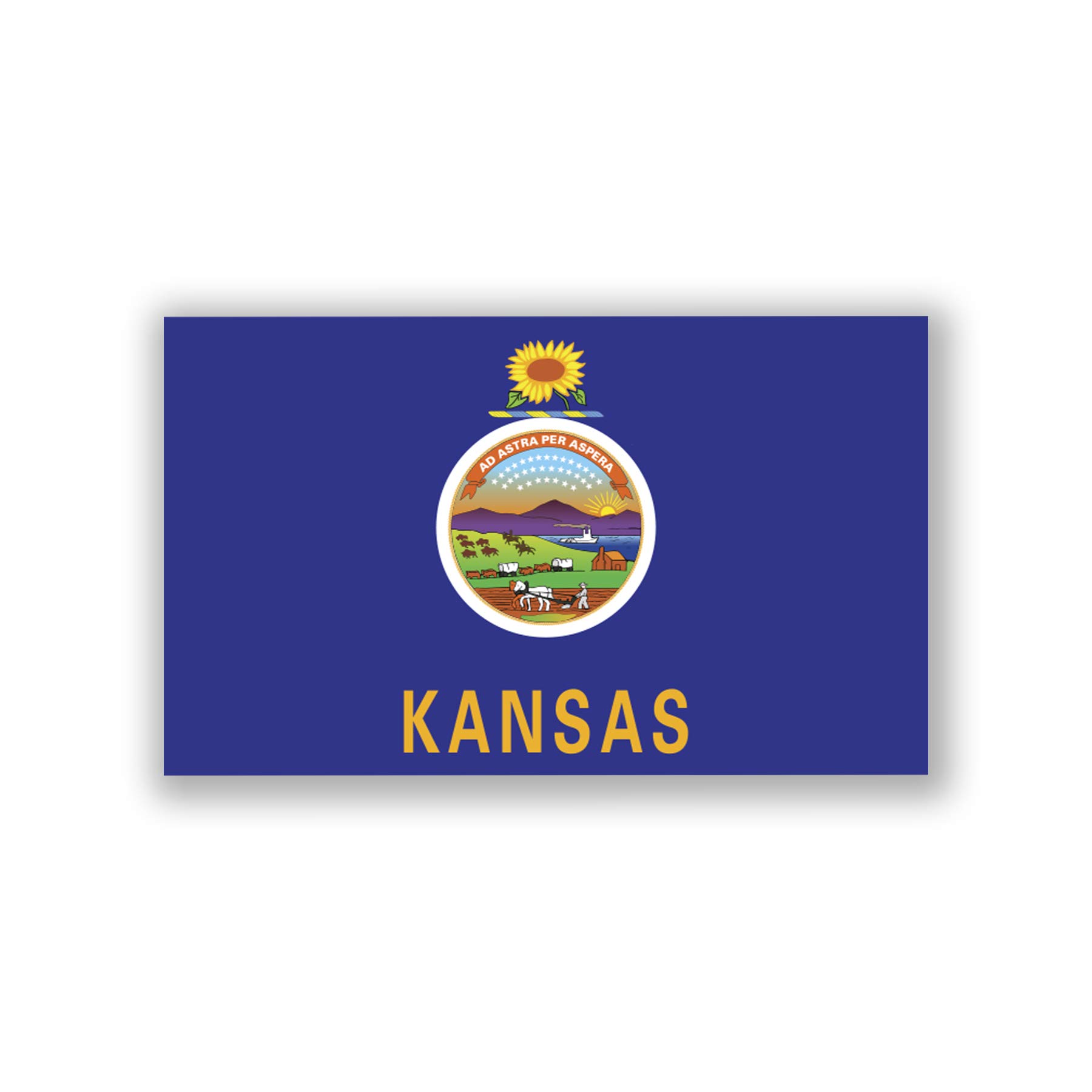 Amazon.com: 2-Pack Kansas State Flag Decal Stickers | Official State ...