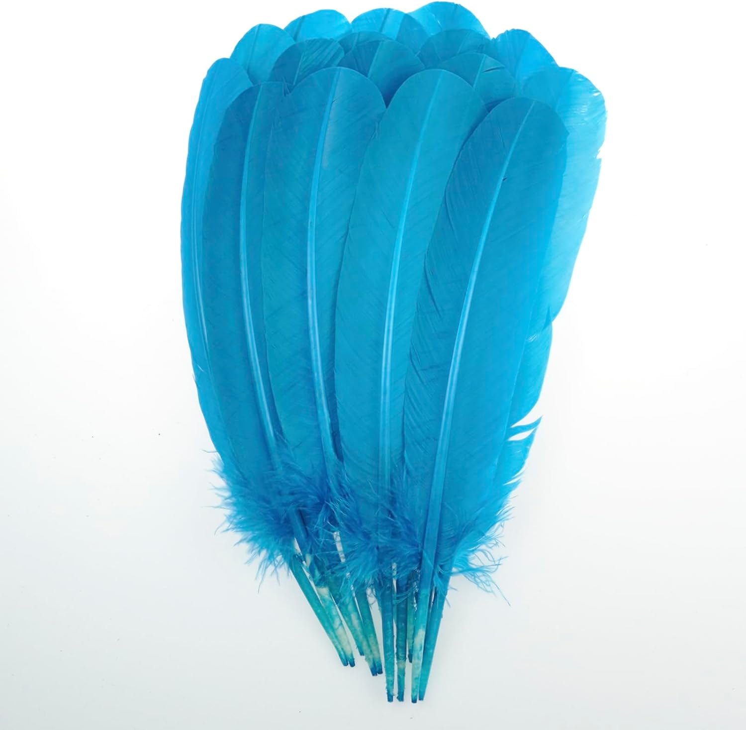 Amazon.com: Feathers for Crafting 10-12 inches 24pcs Natural Black Big ...