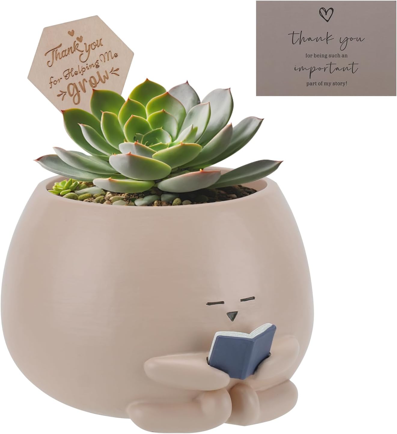 Amazon.com : Book Planter Pots for Plants, Ceramic Planters With ...