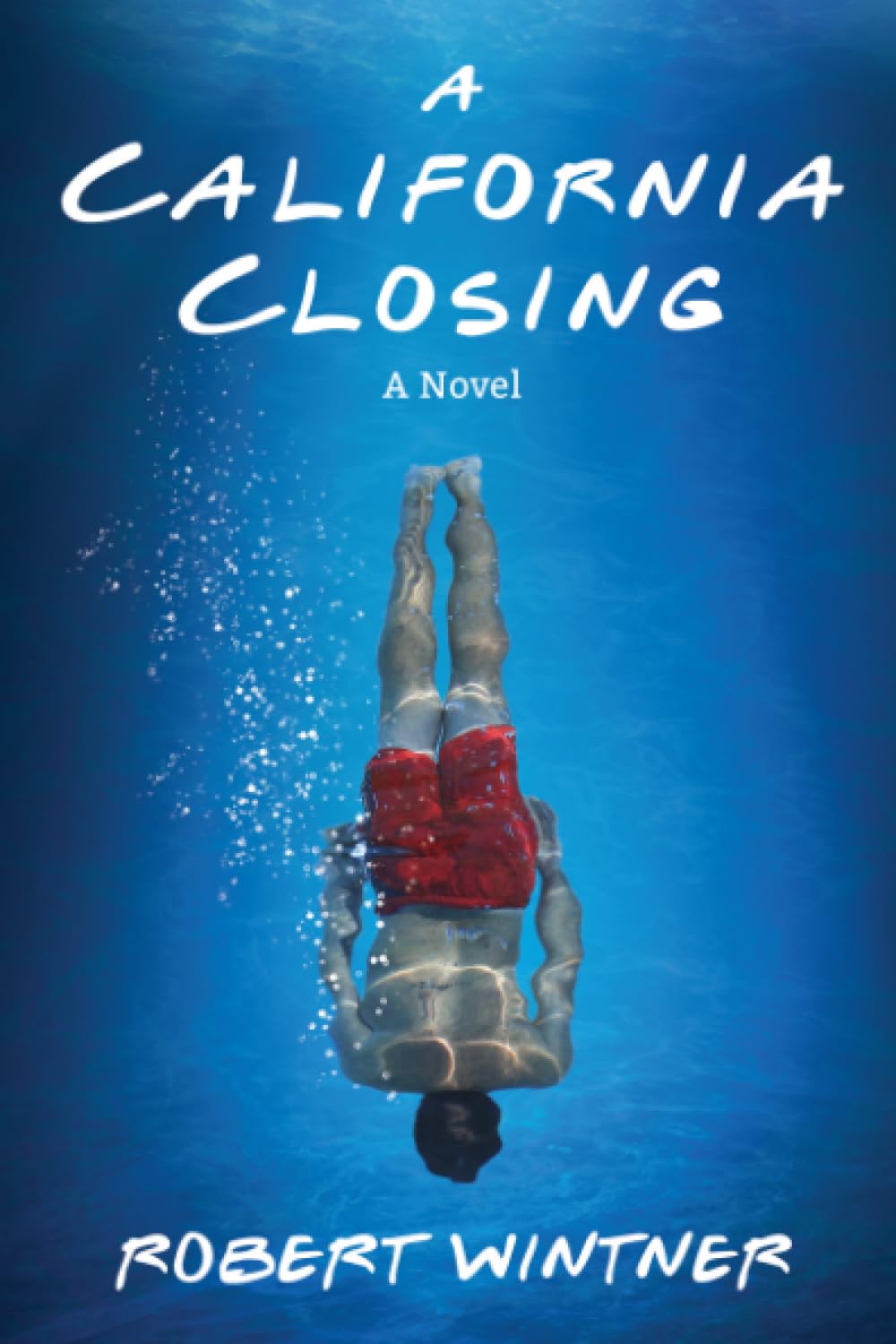 California Closing: A Novel: Wintner, Robert: 9781631580871: Amazon.com ...