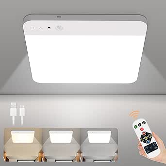 WhitePoplar Closet Light Ceiling Lights Motion Sensor 400LM ...