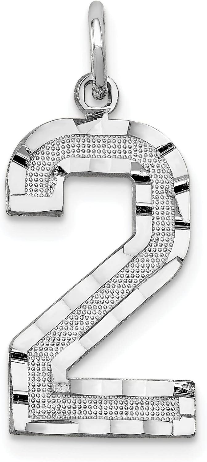 Amazon.com: 14K White Gold Large Number 2 Charm Pendant FindingKing ...