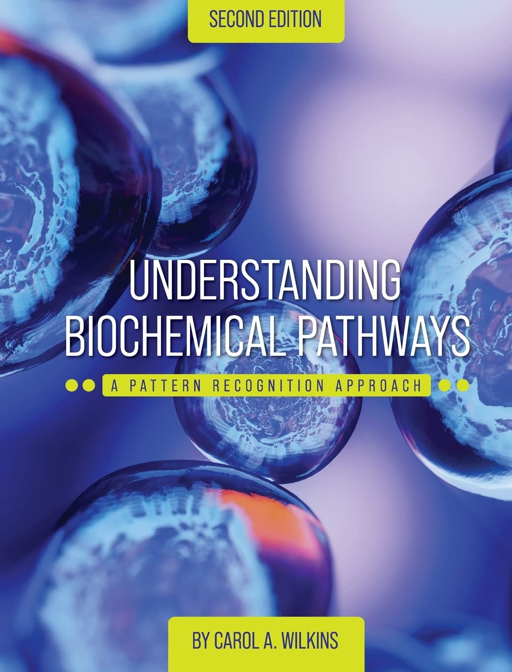 Understanding Biochemical Pathways: A Pattern-Recognition Approach ...