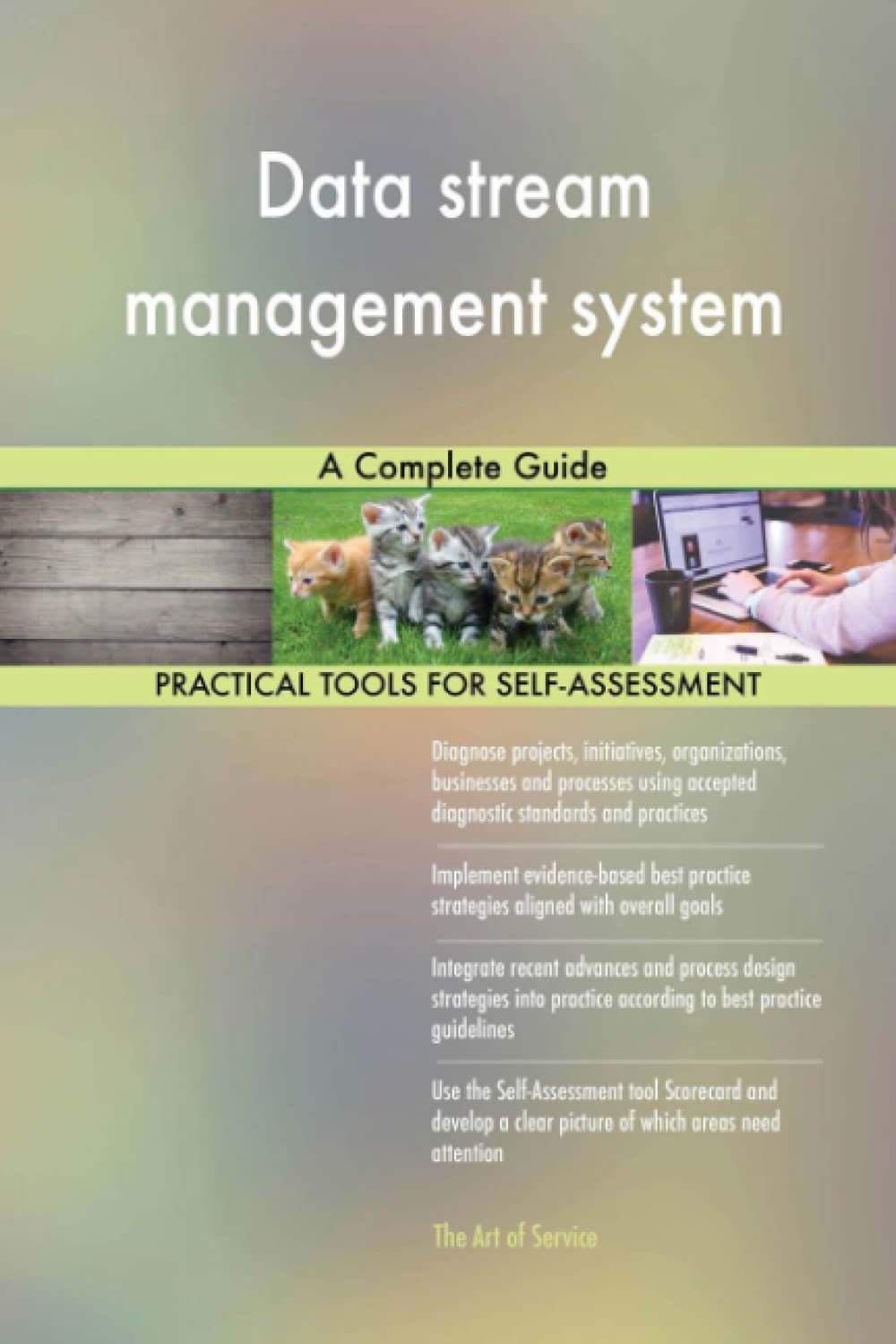 Amazon.com: Data stream management system A Complete Guide ...