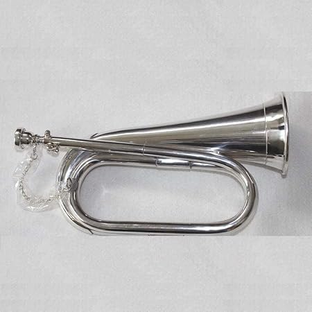 Amazon.com: Regiment WI-800-BG Bugle : Musical Instruments