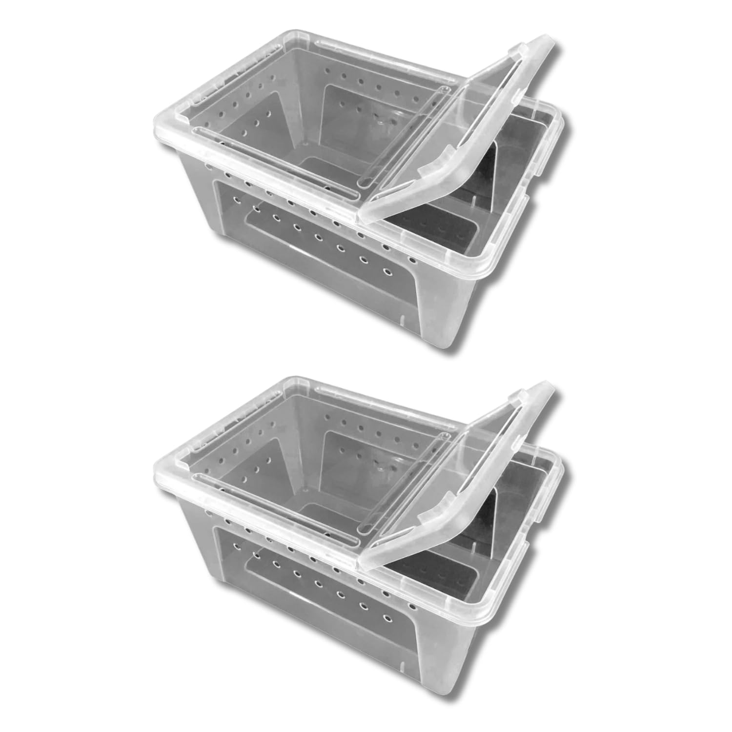 Amazon.com: Jungle Bob - Clear Plastic Reptile Terrarium Box - Easy Pet ...