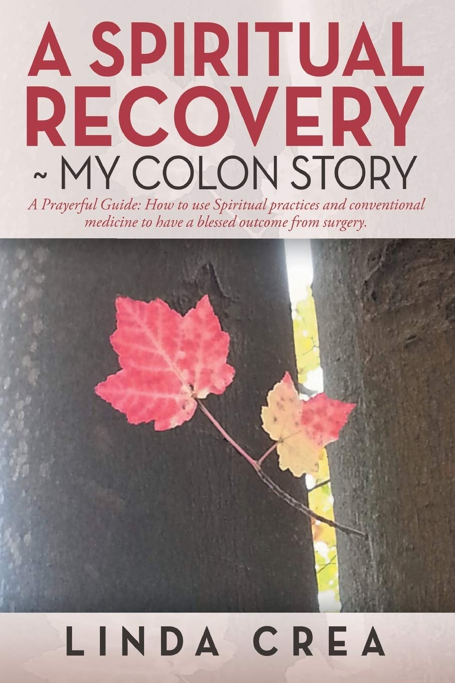 Snapklik.com : A Spiritual Recovery My Colon Story: A Prayerful Guide ...