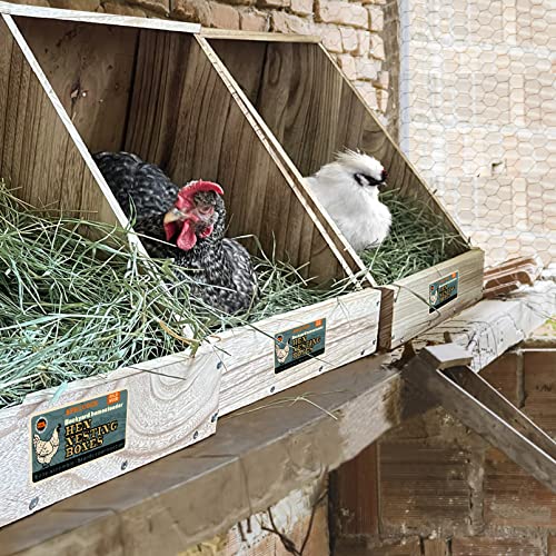 Snapklik.com : Single Compartment Hens Nesting Box, Chicken Coop ...