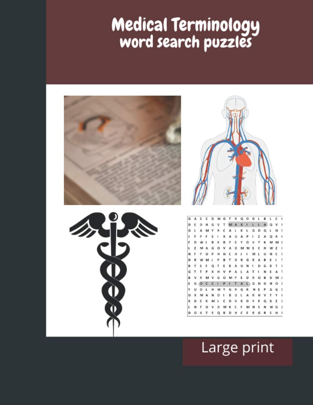 Medical Terminology Puzzles Urinary System II Word Search For A
