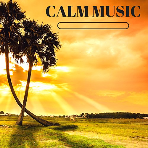 Amazon.com: Calm Music - Best Mp3 Collection for Home Massage : Calm ...