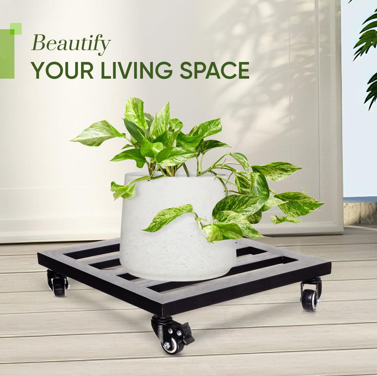 Snapklik.com : IDZO Upgraded Apacity 385lbs, 14Inch Plant Caddy