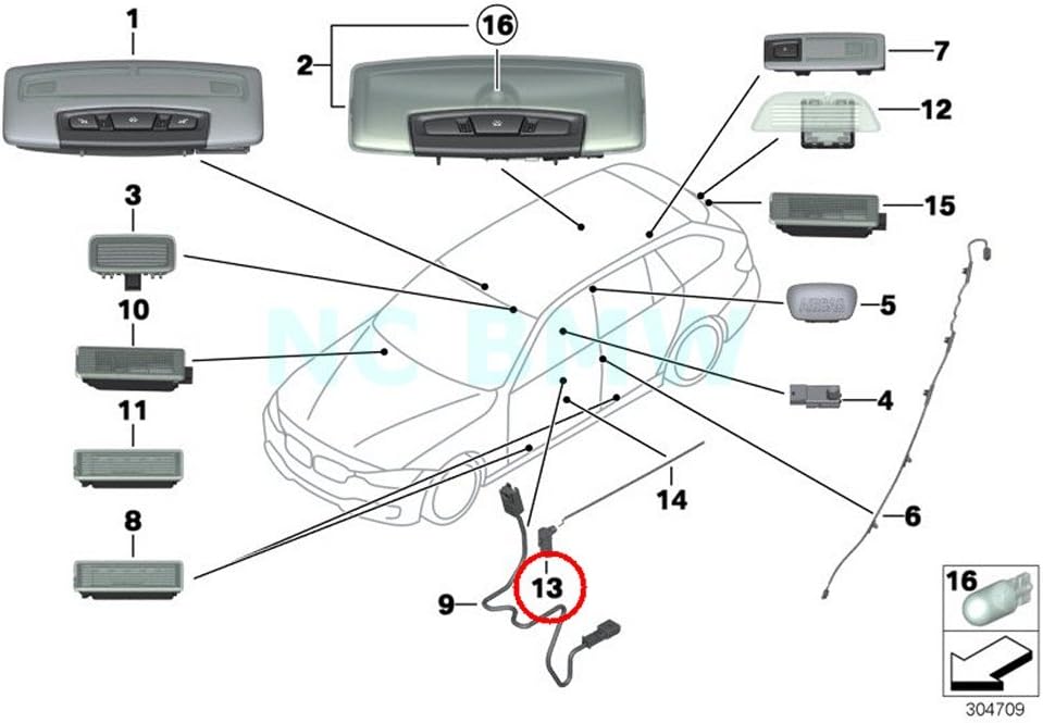 Amazon.com: BMW Genuine Left Door Handle Lighting : Automotive