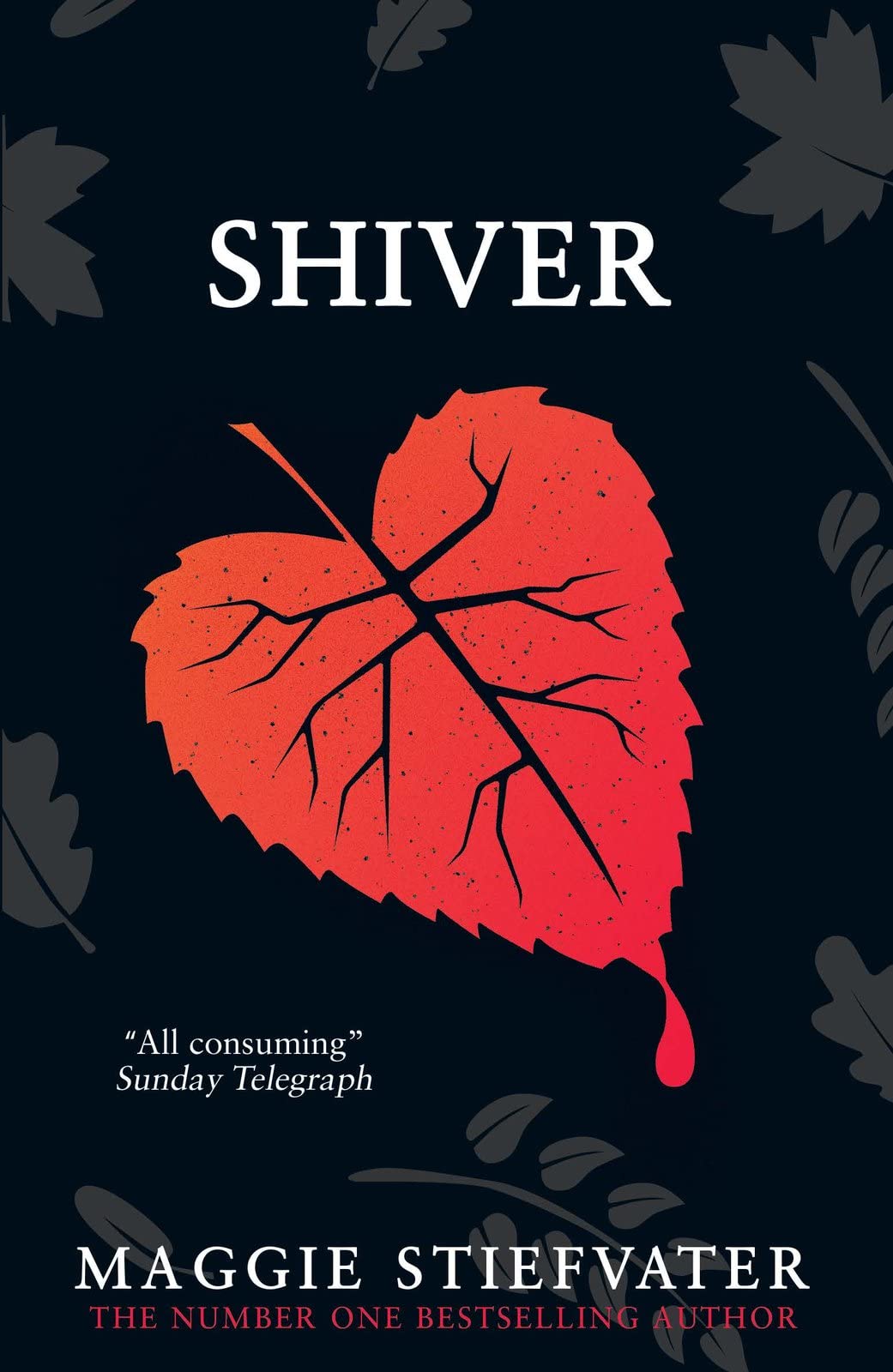 Shiver: A Caldecott Honor Award Winner : Stiefvater, Maggie: Amazon.in ...