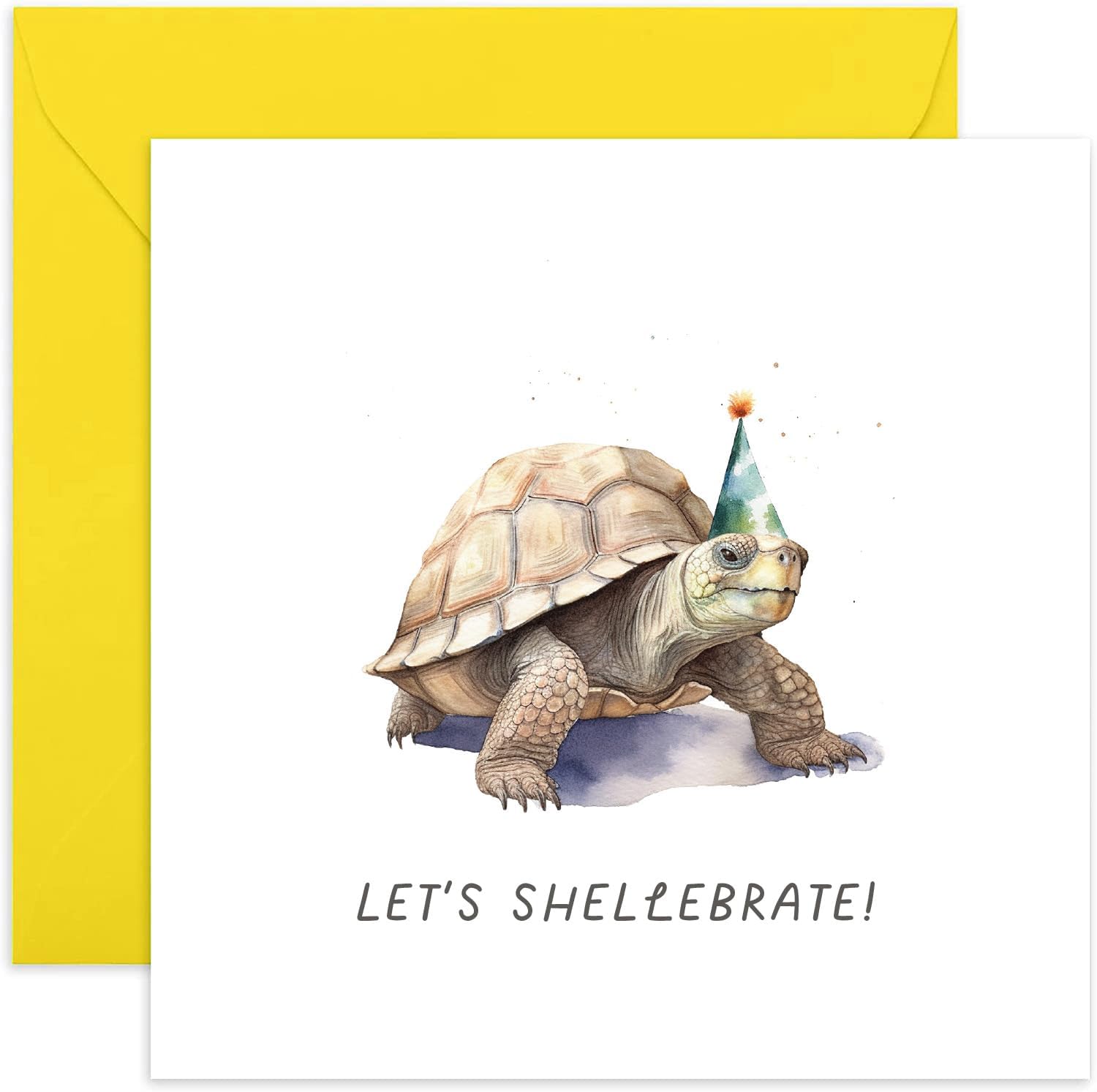 Amazon.com: KoKi93Art Turtle Birthday Card - Cute Animal - Happy ...