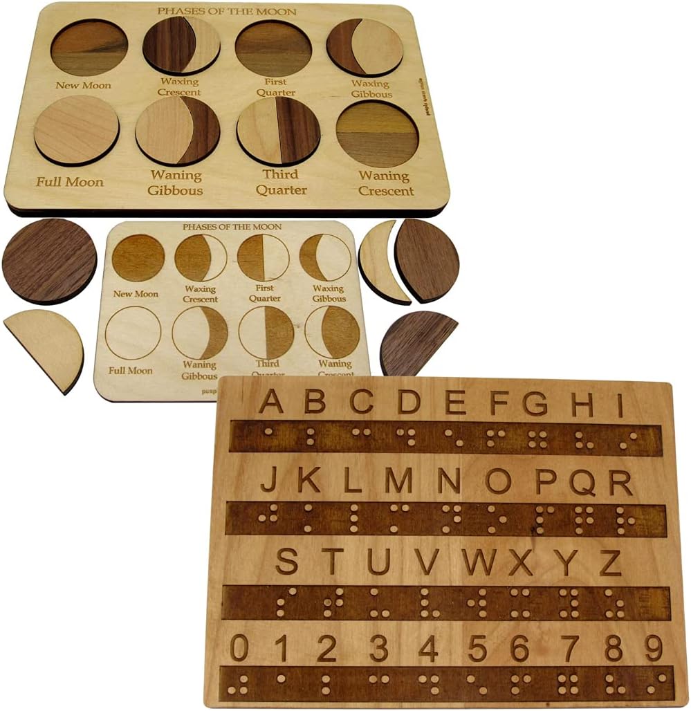 Amazon.com: Montessori Moon Phases Puzzle and Braille Alphabet and ...