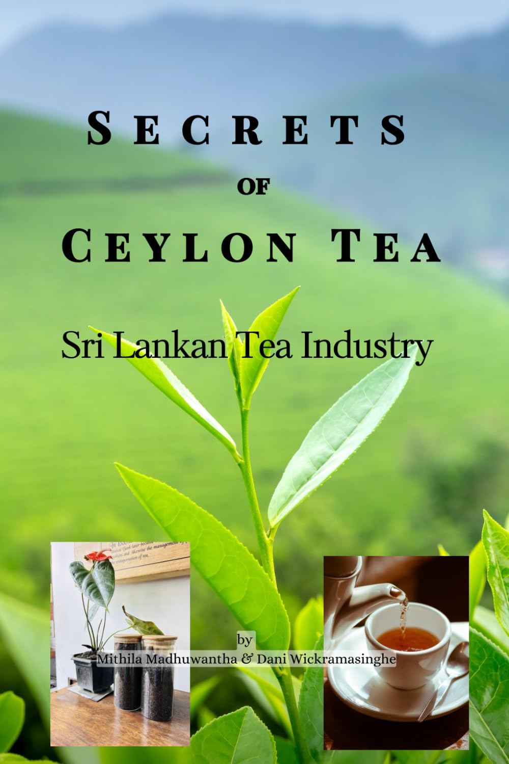 Tea Production In Sri Lanka Tapping Into Tea Tourism Ceylon Today