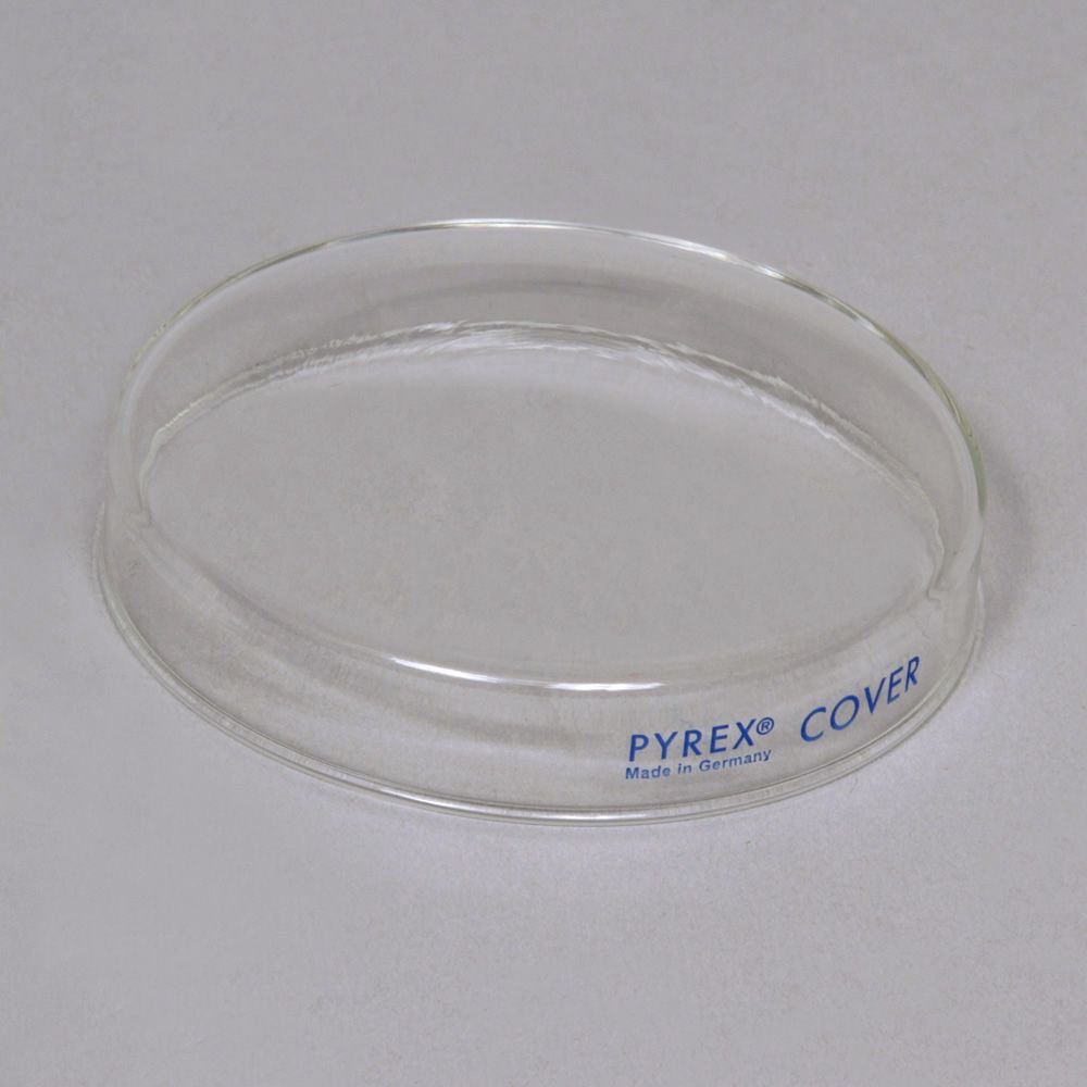 Pyrex, Petri Culture Dish, 100 x 20 mm: Science Lab Petri Dishes ...
