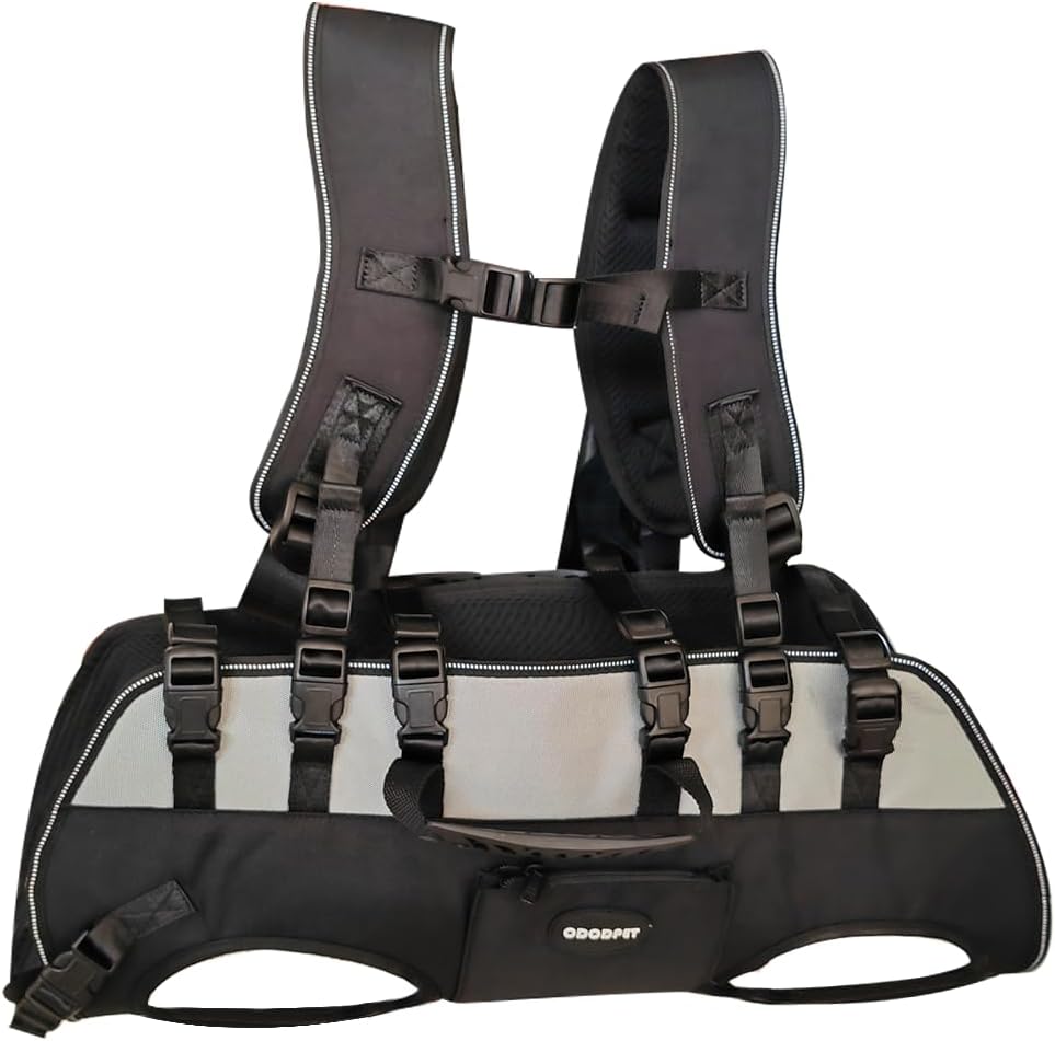 Amazon.com : ODODPET Dog Lift Harness for Small Dogs,Full Body Dog ...