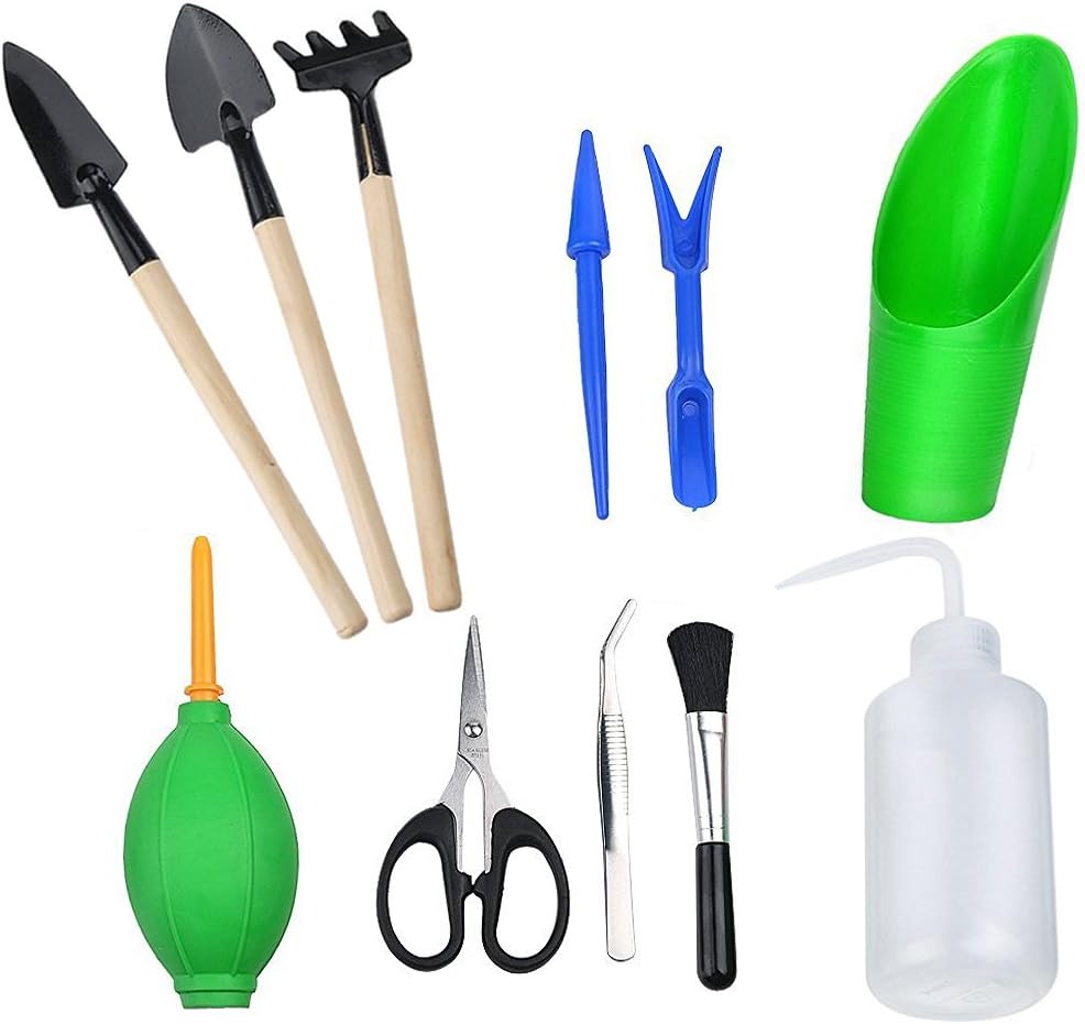 Amazon.com : Mini Gardening Hand Tools Set for Succulent Transplanting ...