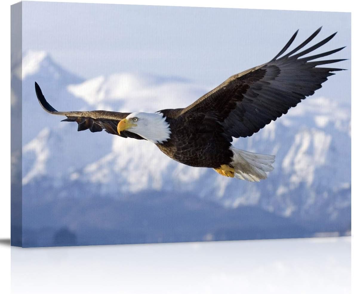 Amazon.com: Bald Eagle Flying - Art Print Poster,Wall Decor,Home Decor ...