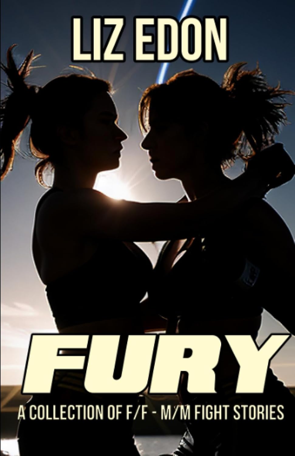 Amazon.com: Fury: A Collection of F/F - M/M Fight Stories ...