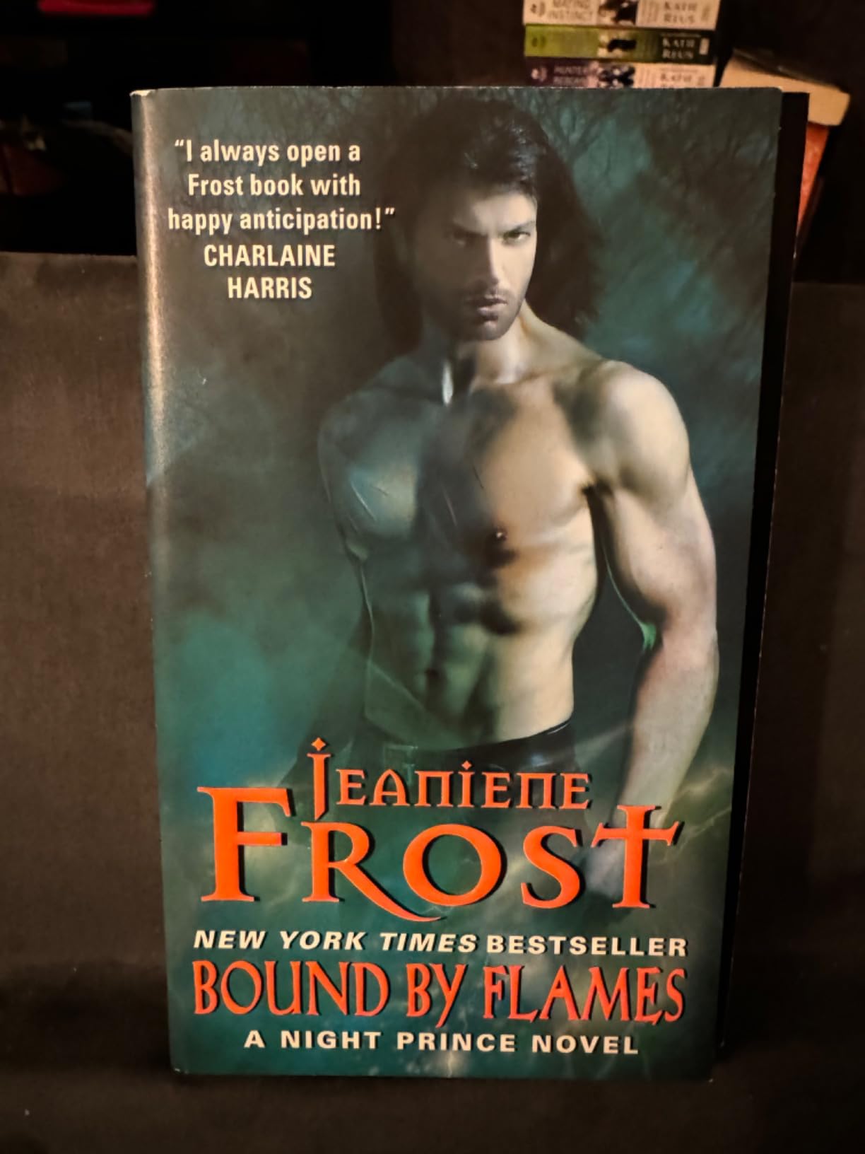 Bound by Flames: A Night Prince Novel - Kindle edition by Frost ...